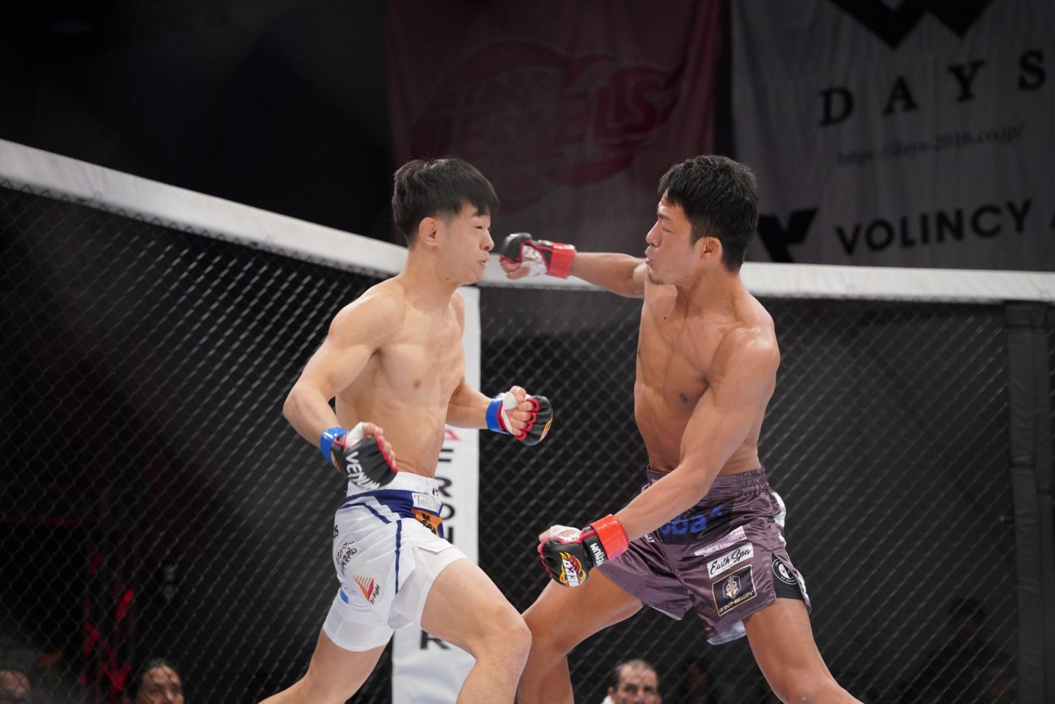 DEEP TOKYO IMPACT 2025 1st ROUND | DEEP & DEEP JEWELS オフィシャルサイト