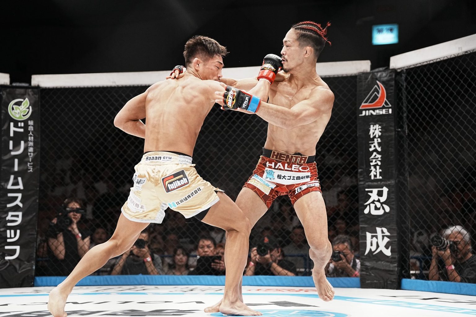 DEEP 126 IMPACT | DEEP & DEEP JEWELS オフィシャルサイト