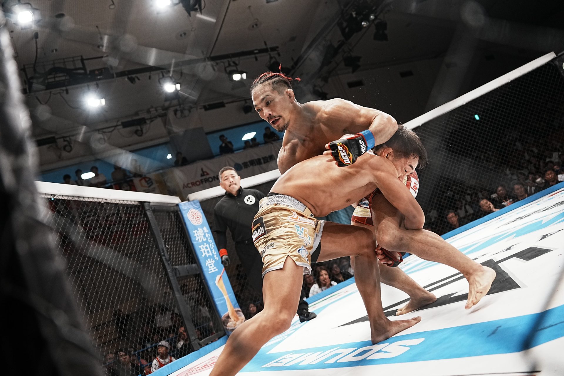 DEEP 126 IMPACT | DEEP & DEEP JEWELS オフィシャルサイト