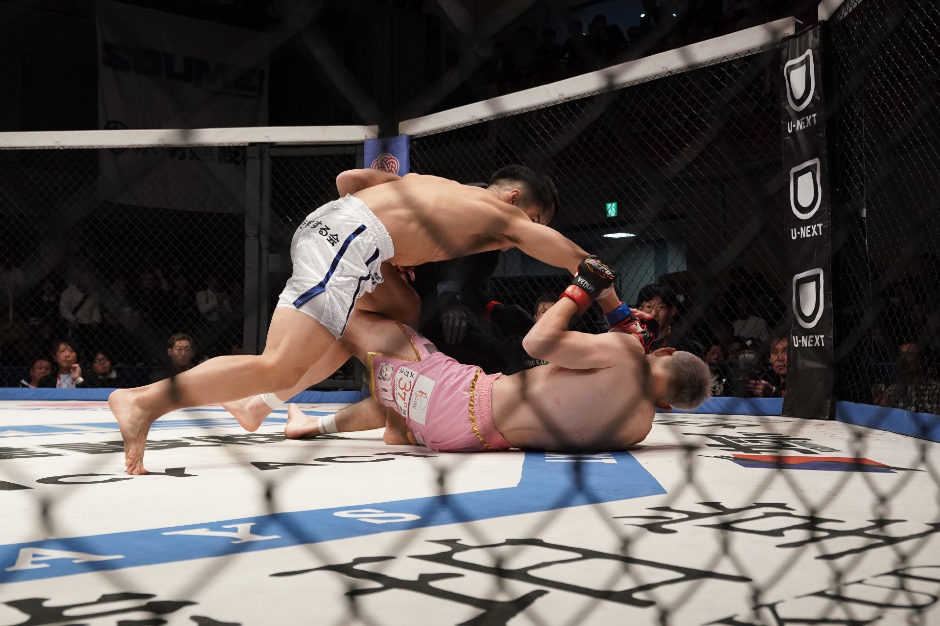 DEEP 128 IMPACT | DEEP & DEEP JEWELS オフィシャルサイト