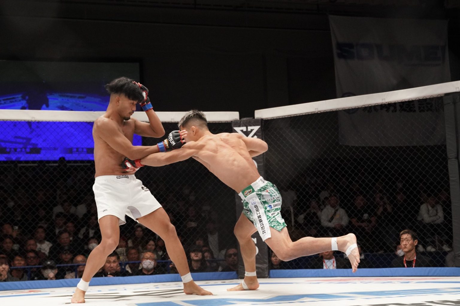 DEEP 128 IMPACT | DEEP & DEEP JEWELS オフィシャルサイト