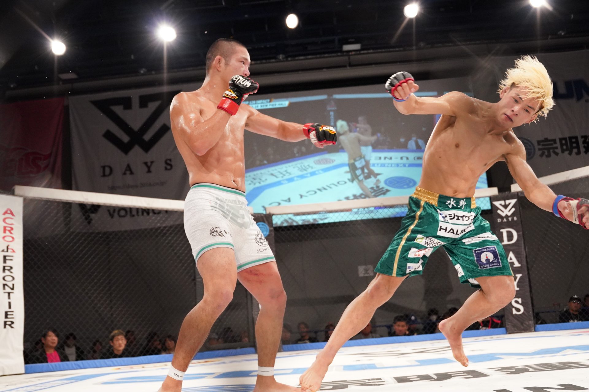 DEEP 129 IMPACT | DEEP & DEEP JEWELS オフィシャルサイト