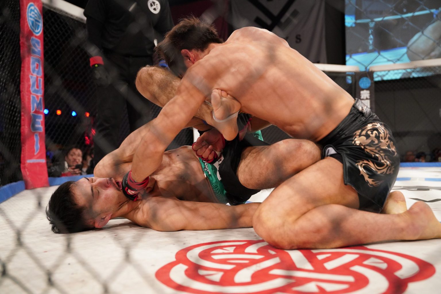 DEEP 129 IMPACT | DEEP & DEEP JEWELS オフィシャルサイト