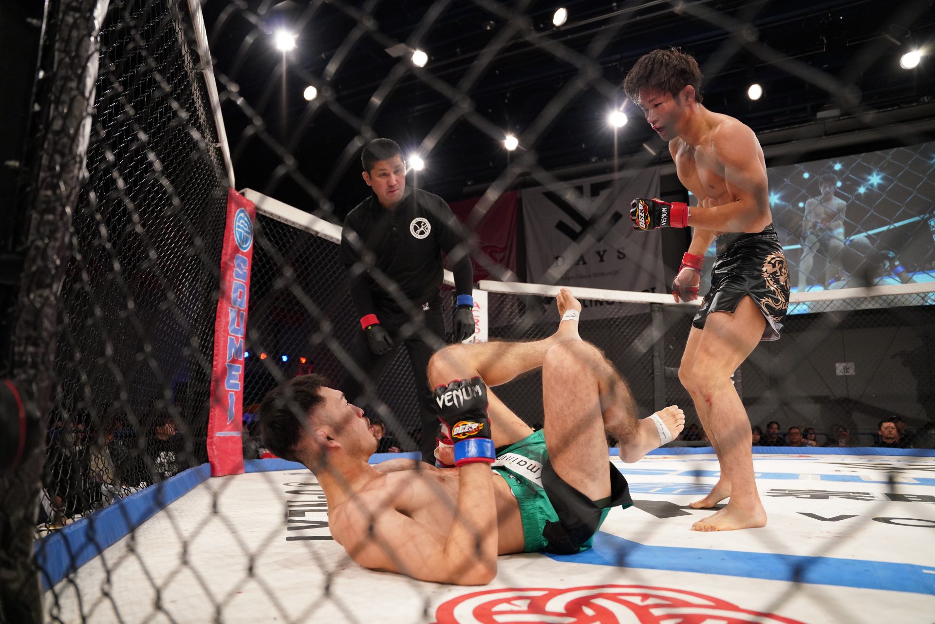 DEEP 129 IMPACT | DEEP & DEEP JEWELS オフィシャルサイト